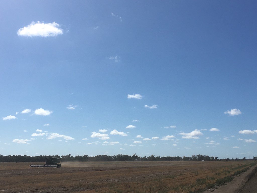 alicemayburke | Abode